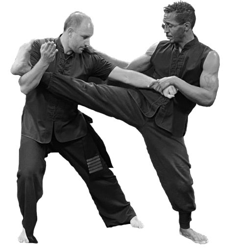 The Kwoon | Online Kung Fu Academy